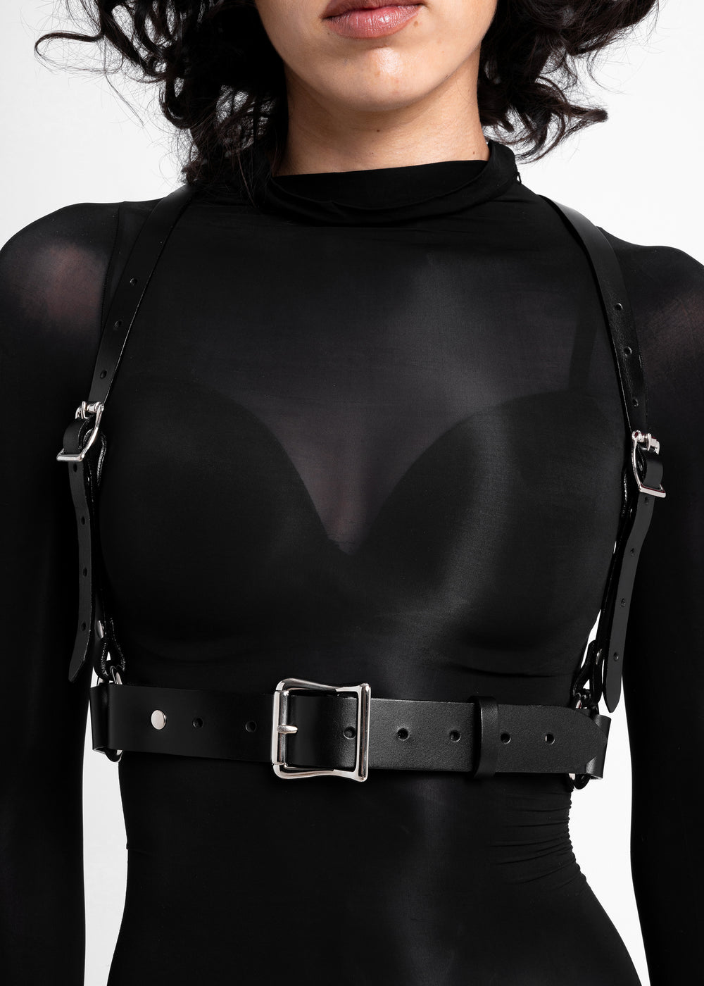 HARNESSES